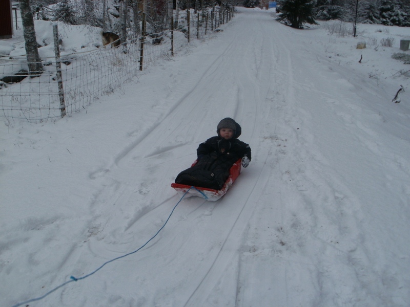 Pulkapremiär, söndag den 22 januari 2012